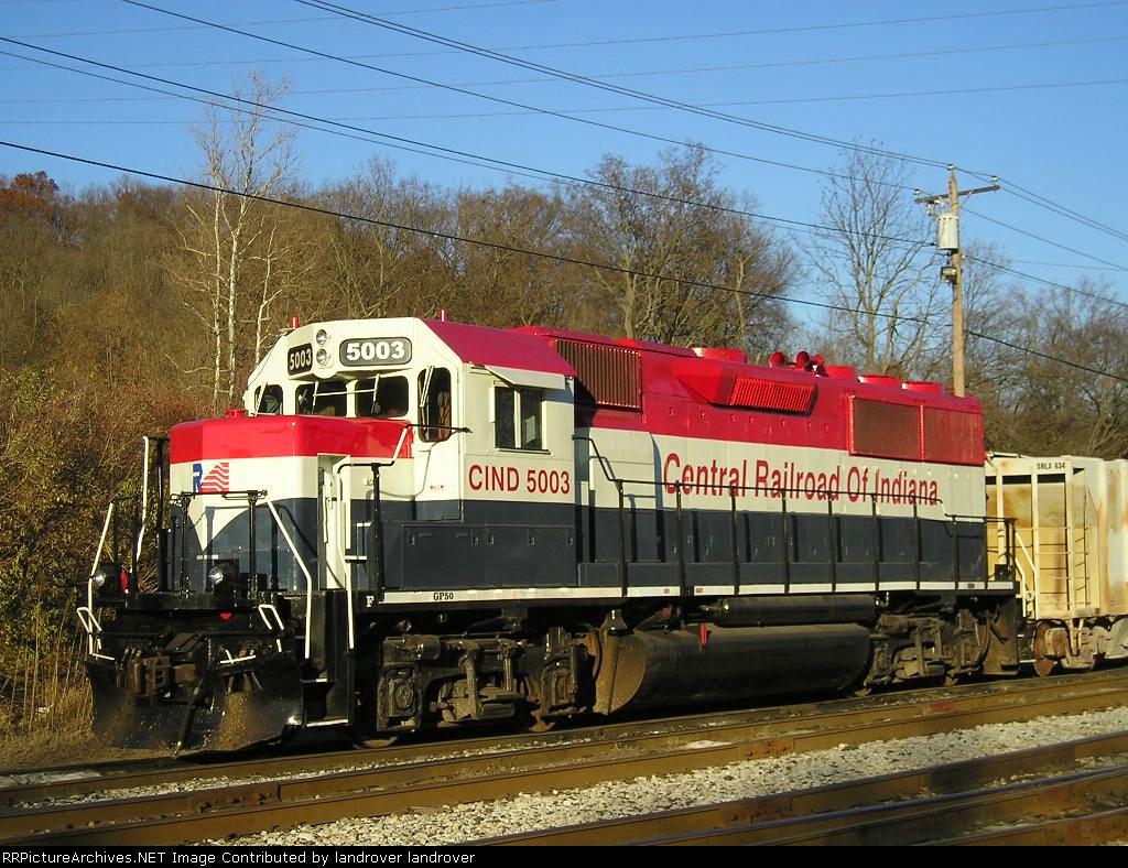 CIND 5003 No Stripes One Of A Kind